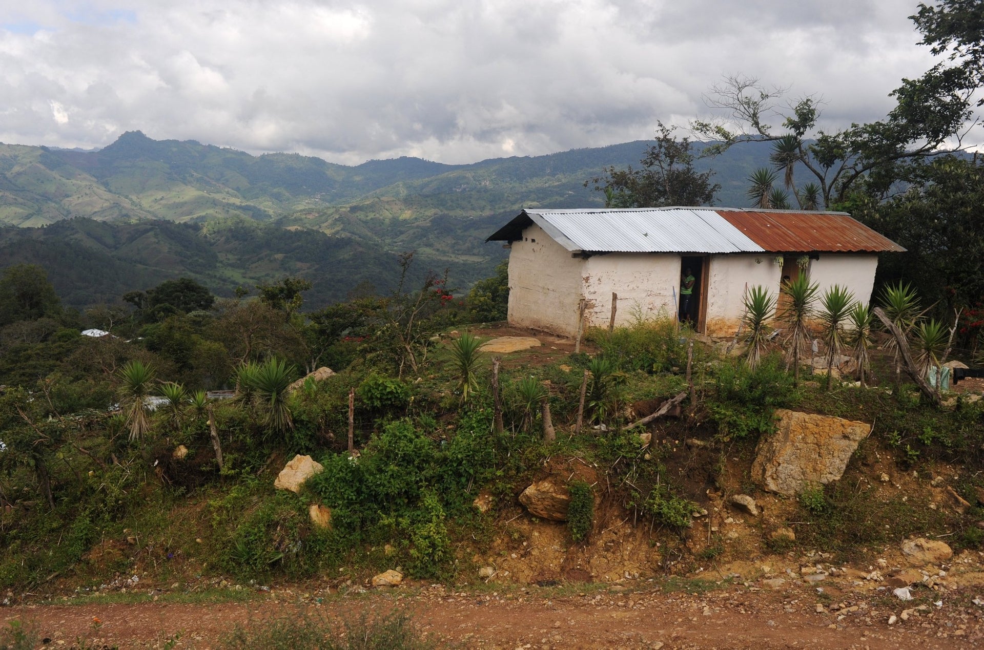 An Introduction to Aldea Development – Aldea Coffee