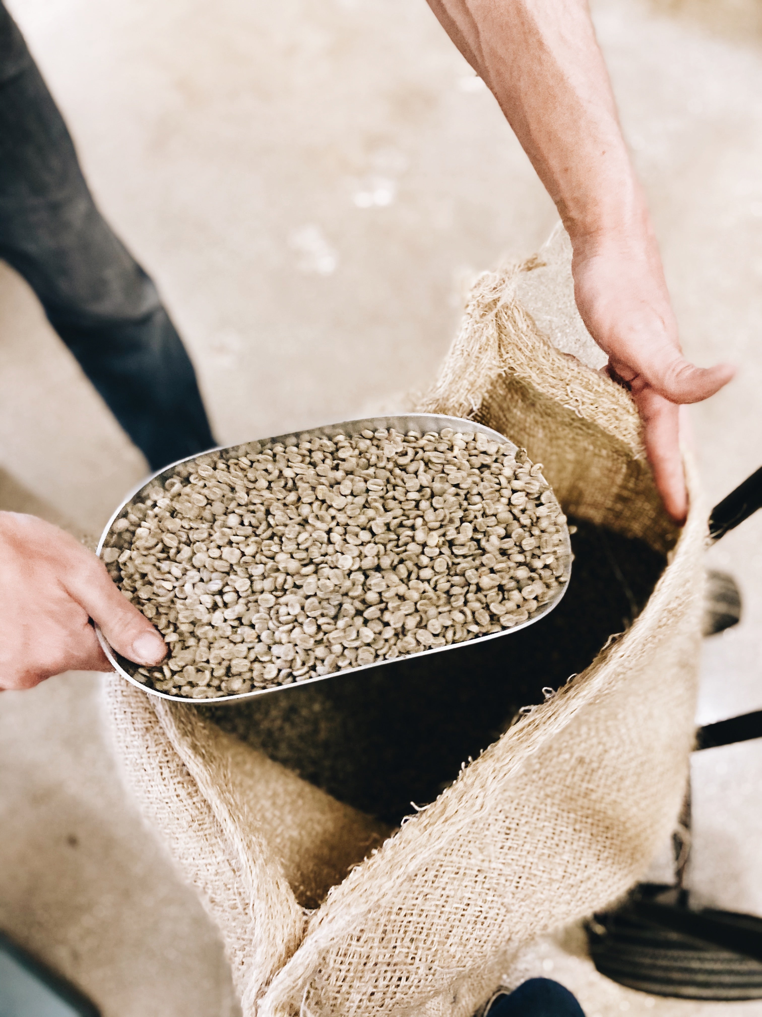 Aldea Coffee Wholesale