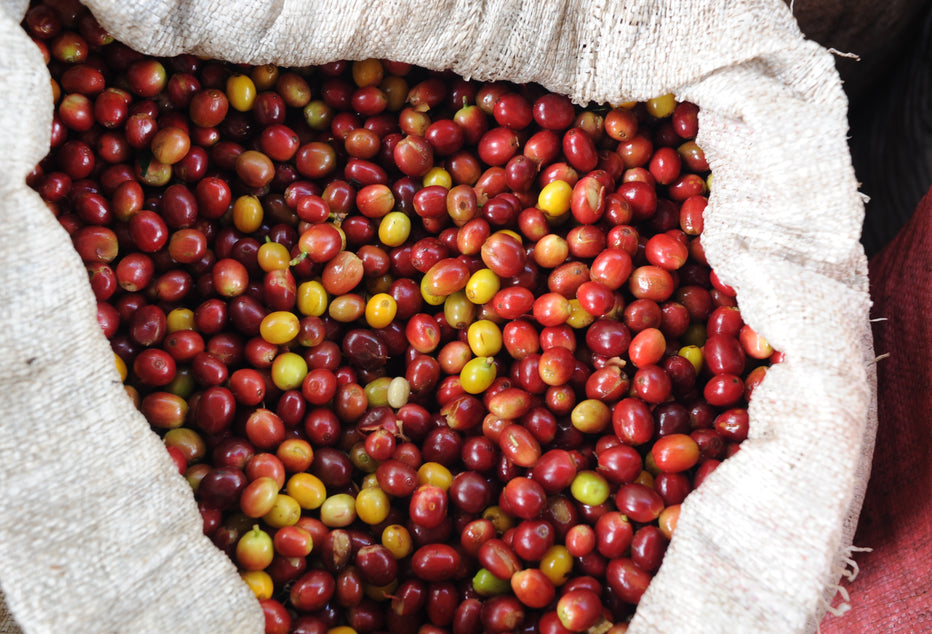 Aldea Coffee
